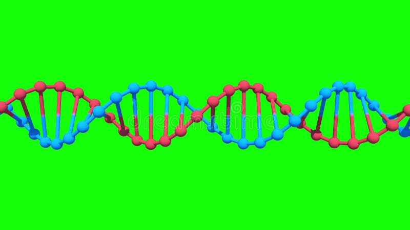 Rotating DNA on Green Screen, Chroma Key, Looped Animation, 3D ...