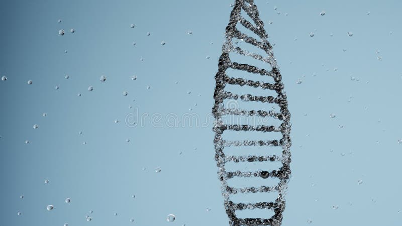 Rotating Dna Helices Moving among Cells, Abstract Background. Genom ...