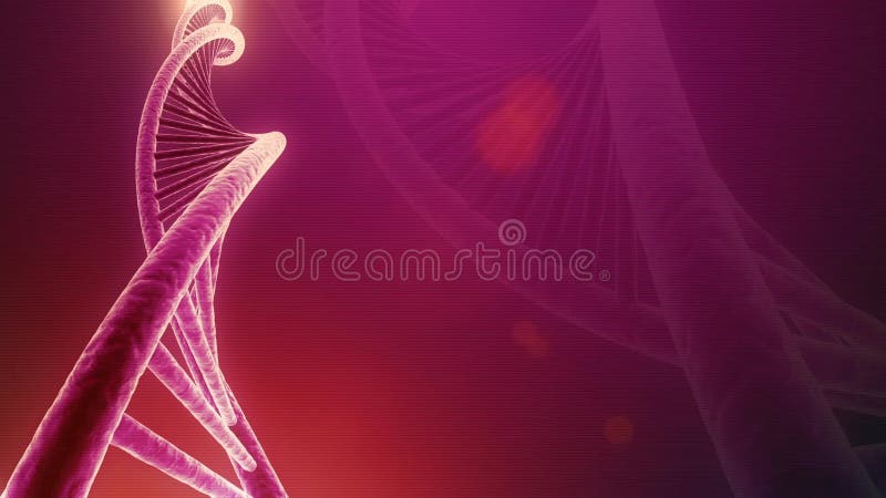 Rotating DNA Seamless Loop stock footage. Video of chromosome - 63918280