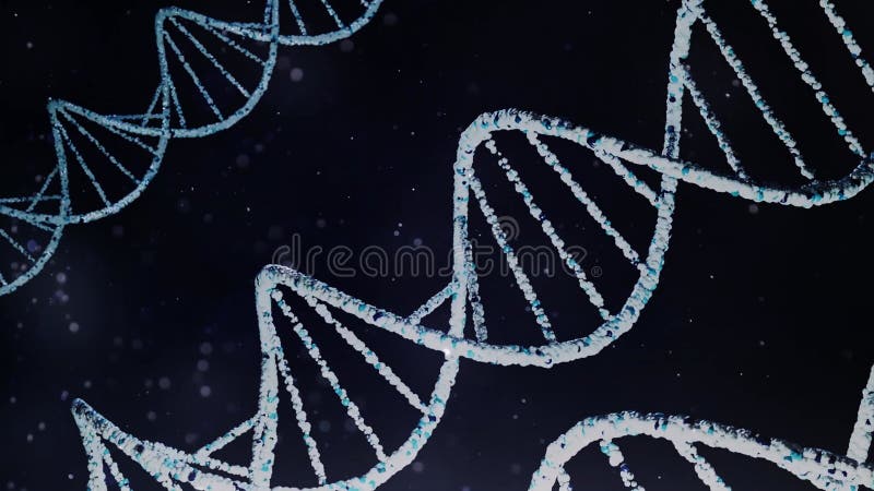 Realistic DNA Strand 3D Animation,Concept Animation of Digital DNA ...