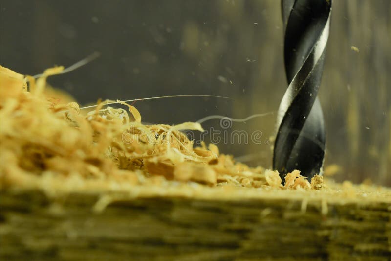 Rotating Drill in Wood. Drill with Flying Wood Chips. Concept for ...