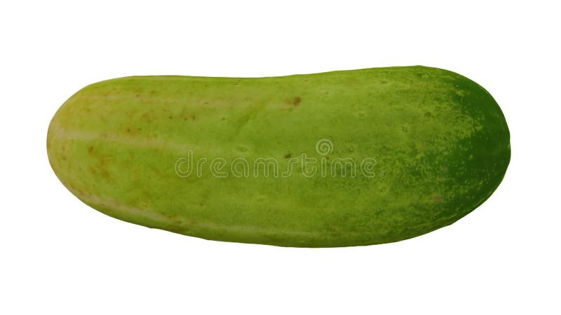 Rotating Cut Emerald White Cucumber on White Background 02A Looping ...