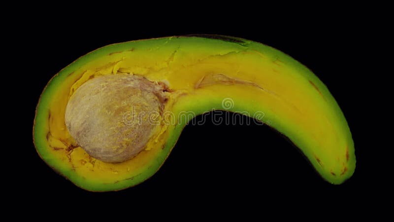 Rotating Half Long Neck Avocado on Transparent Background 03C Looping ...