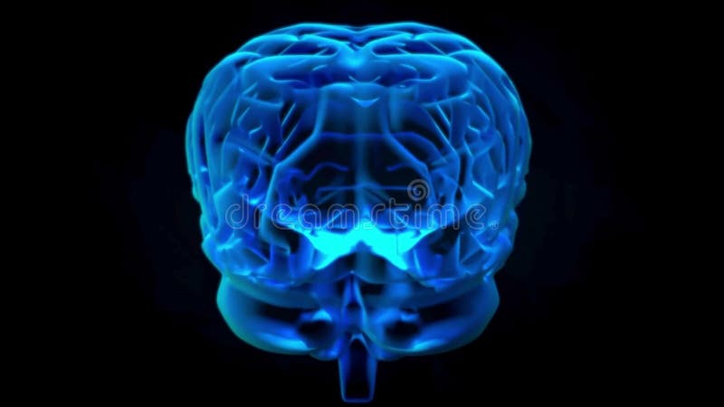 3D Animated Human Brain Loop Stock Footage - Video of render ...