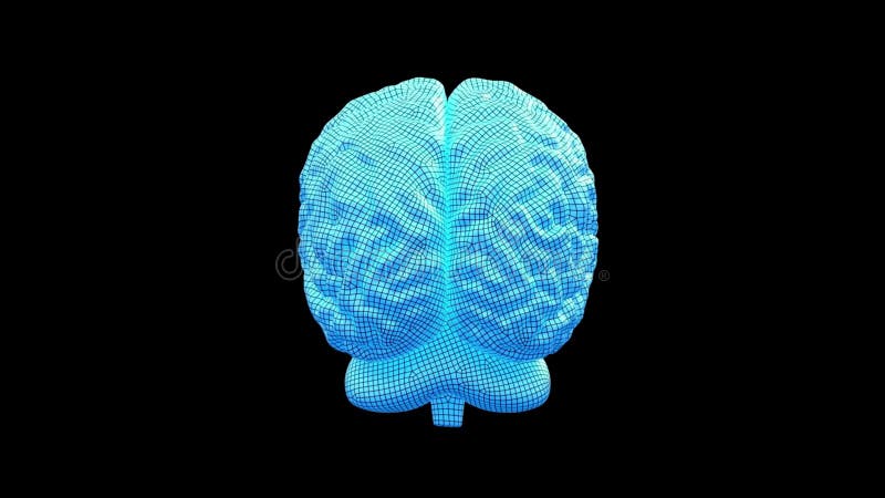 3D Animated Human Brain Loop Stock Video - Video of animation ...