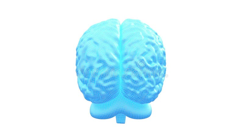 3D Animated Human Brain Loop Stock Video - Video of fantasy, neural ...