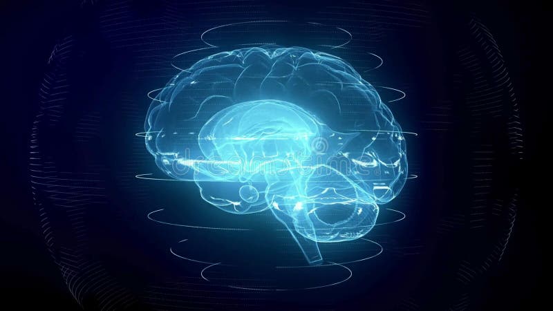 3D Animated Human Brain Loop Stock Video - Video of body, anatomy ...