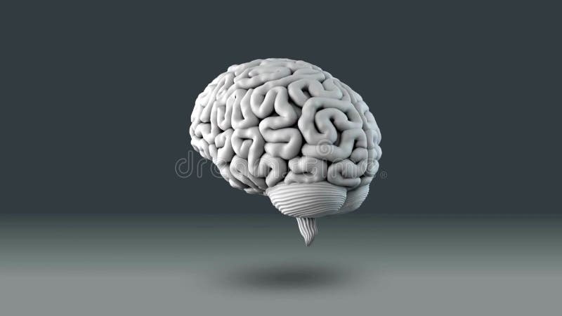 3D Animated Human Brain Loop Stock Footage - Video of render, mental ...