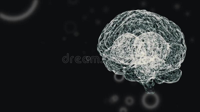 3D Animated Human Brain Loop Stock Video - Video of cell, mind: 308000805