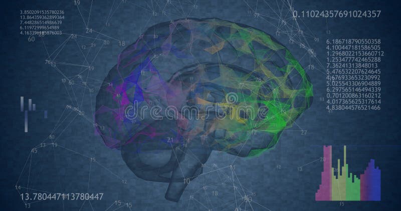 Rotating 360 Low Polygonal Brain 3D Model on Blue Background with ...