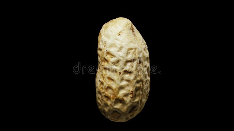 Rotating Peanuts in Shells on a Black Background. Close-up, Side View ...
