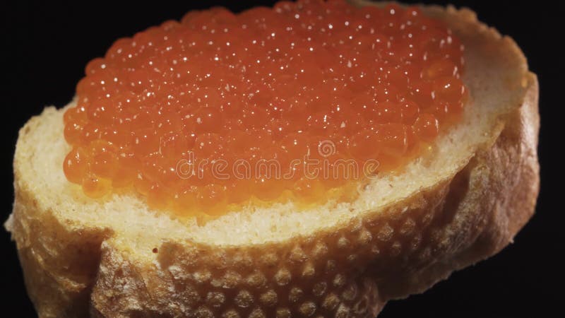 A Rotating Piece of Baguette with Red Caviar. Close-up Stock Video ...