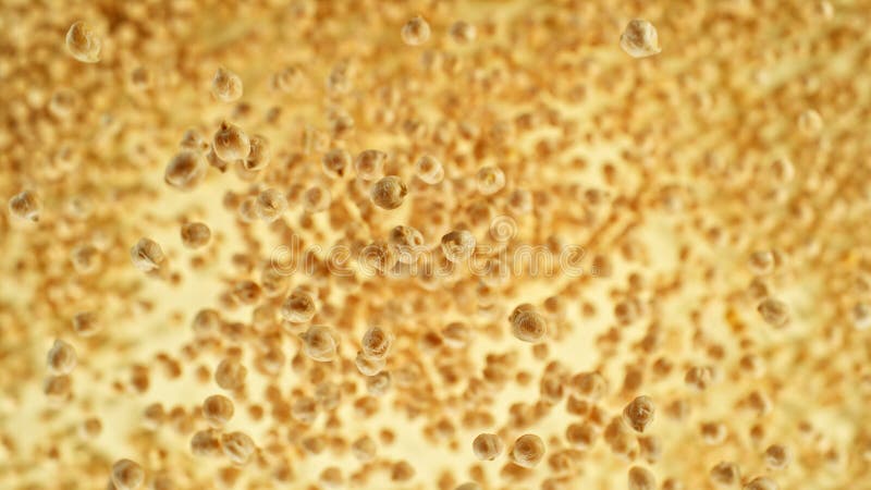 Rotating Raw Chickpeas Legumes Background Stock Photo - Image of motion ...