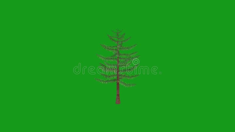 Rotating Tree Green Screen Motion Graphics Stock Video - Video of ...