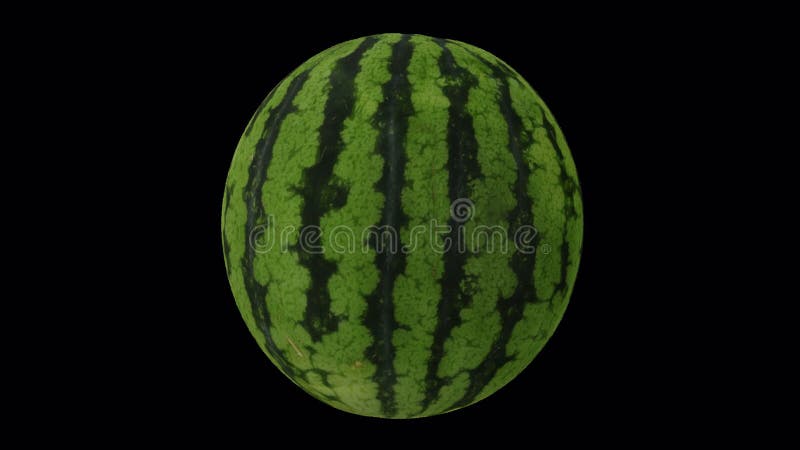 Rotating Watermelon Transparent Background 01C Looping with Alpha ...