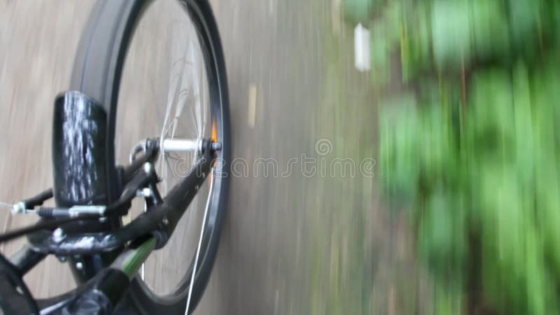 Rotating Wheel of Bicycle Moving on Pathway in Stock Footage - Video of ...