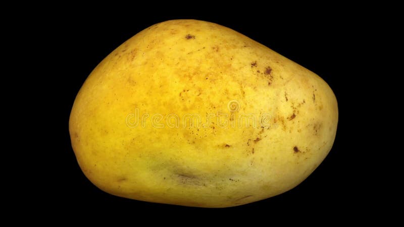 Rotating Yellow and Blue Moving Glitch Effect Futuristic Trendy ...