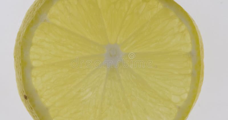Rotation of a Transparent Thin Lemon Slice. Fruit Pulp Close-up Stock ...