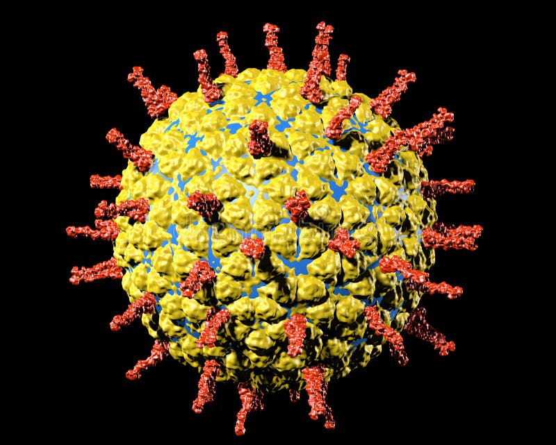 Rotavirus Stock Illustrations – 520 Rotavirus Stock Illustrations ...