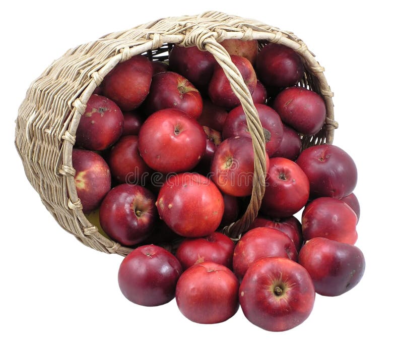 Rote Äpfel Im Korb - Getrennt Stockfoto - Bild von mahlzeit, leben ...