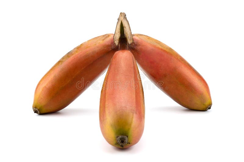 Rote Banane, Rotes Dhaka, Rotweinbanane, Cavendish-Banane Stockfoto ...