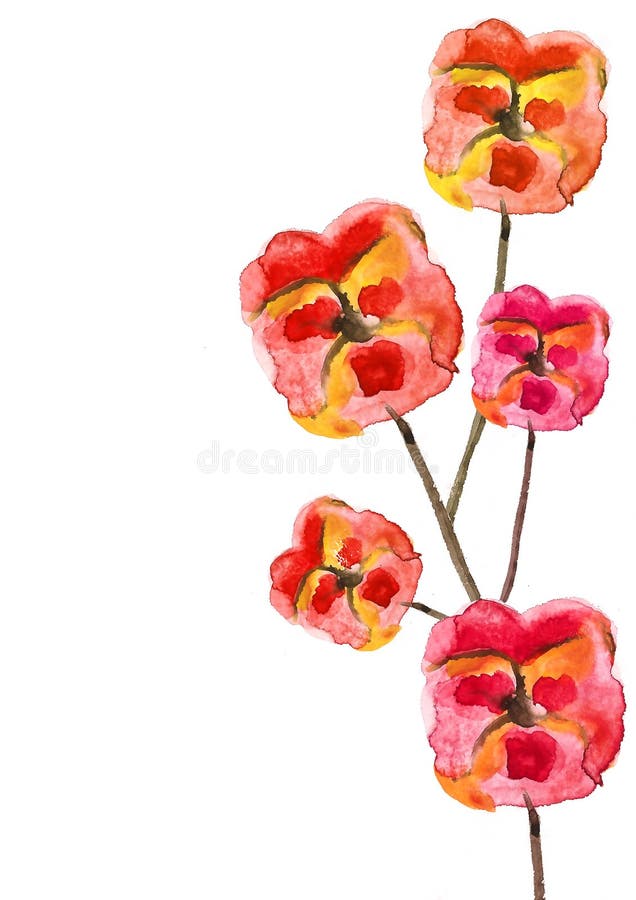 Set Blumen Gemalt Im Aquarell Stock Abbildung - Illustration von ...