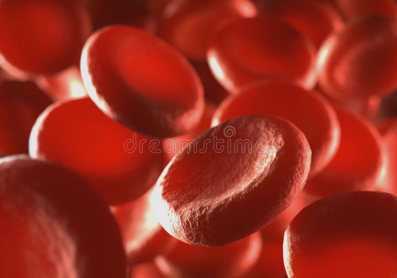 Erythrozyt, Rote Blutkörperchen, Medizinisches Konzept Der Anatomie ...