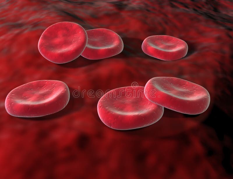 Blutzellen in der Ader stock abbildung. Illustration von blut - 12161734