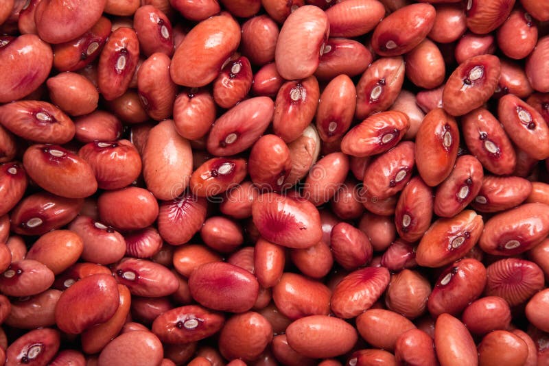 Rote Bohnen stockbild. Bild von hintergrund, bohne, getränkt - 11548461