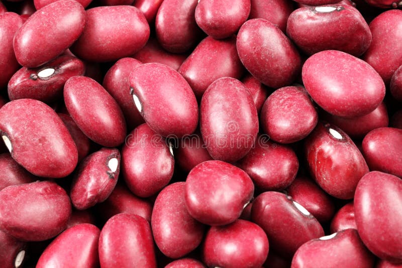 Rote Bohnen Makro stockbild. Bild von makro, erbsen, gemüse - 8899531