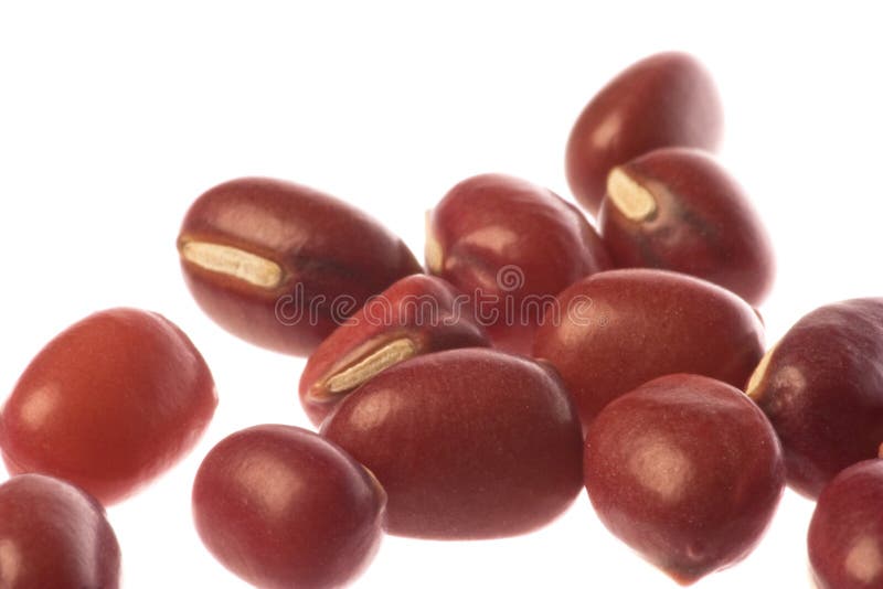Rote Bohnen Makro stockbild. Bild von betrieb, grüns, bohne - 8899531