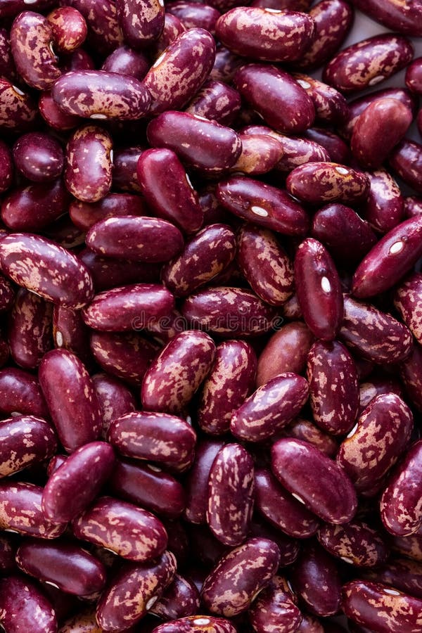 Rote Bohnenahaufnahme stockbild. Bild von viele, niere - 3261475