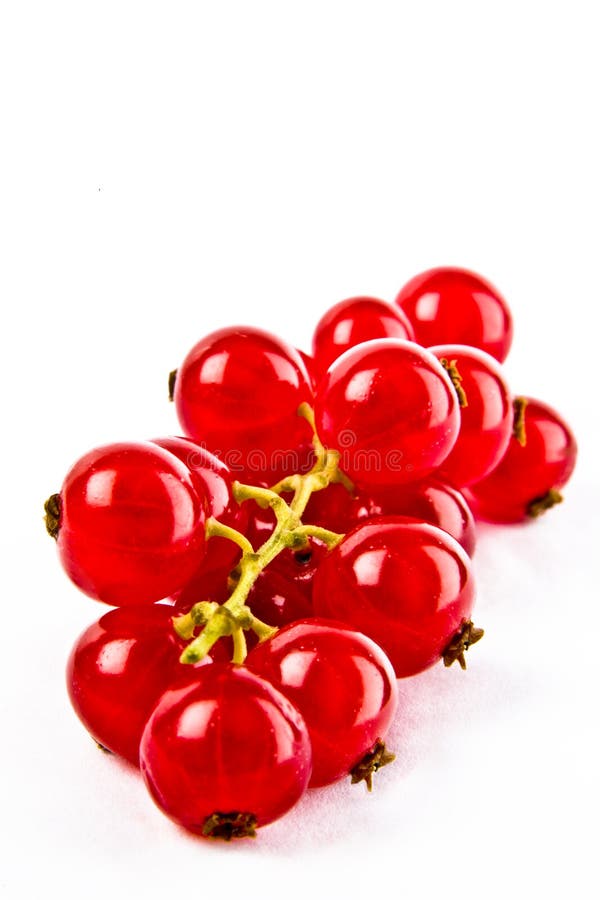 Rote Johannisbeeren Auf Einem Weißen Hintergrund Stockfoto - Bild von ...