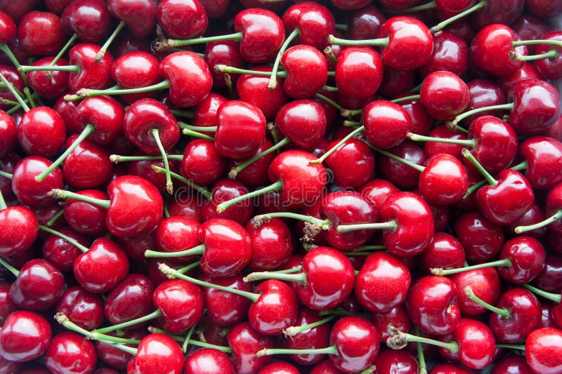 Rote Kirsche stockbild. Bild von nachrichten, gesund - 55274863