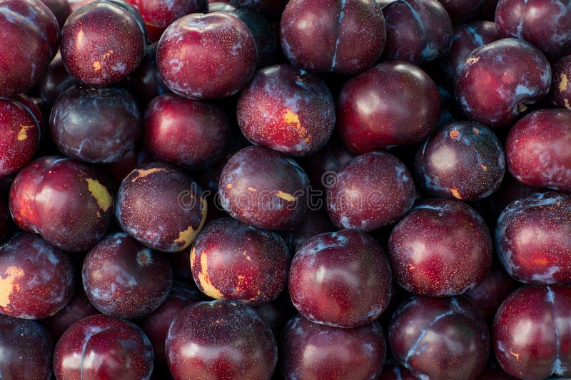 Rote Pflaume stockfoto. Bild von nahrung, imbiß, weiß - 3132882
