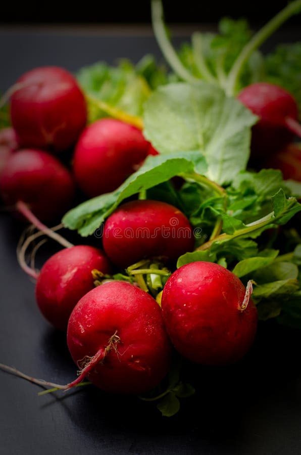 Rote Rettiche stockbild. Bild von schwarzes, nahrung - 38421169