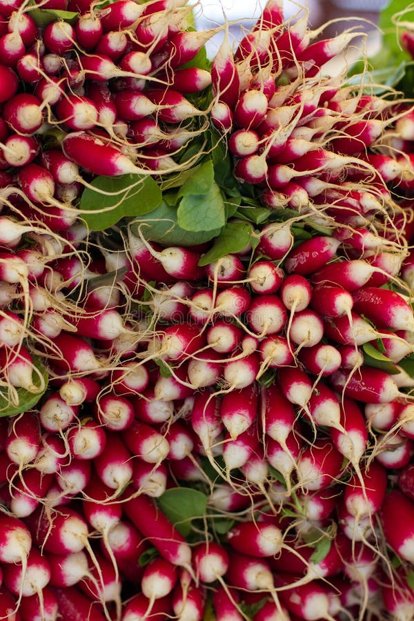 Rettiche Markt Stock-Fotos - Laden Sie 3,355 Royalty-Free Fotos herunter