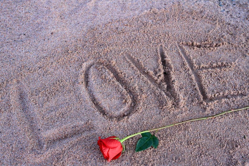 Rote Rose Laying Auf Strand-Sand Stockfoto - Bild von wörter ...