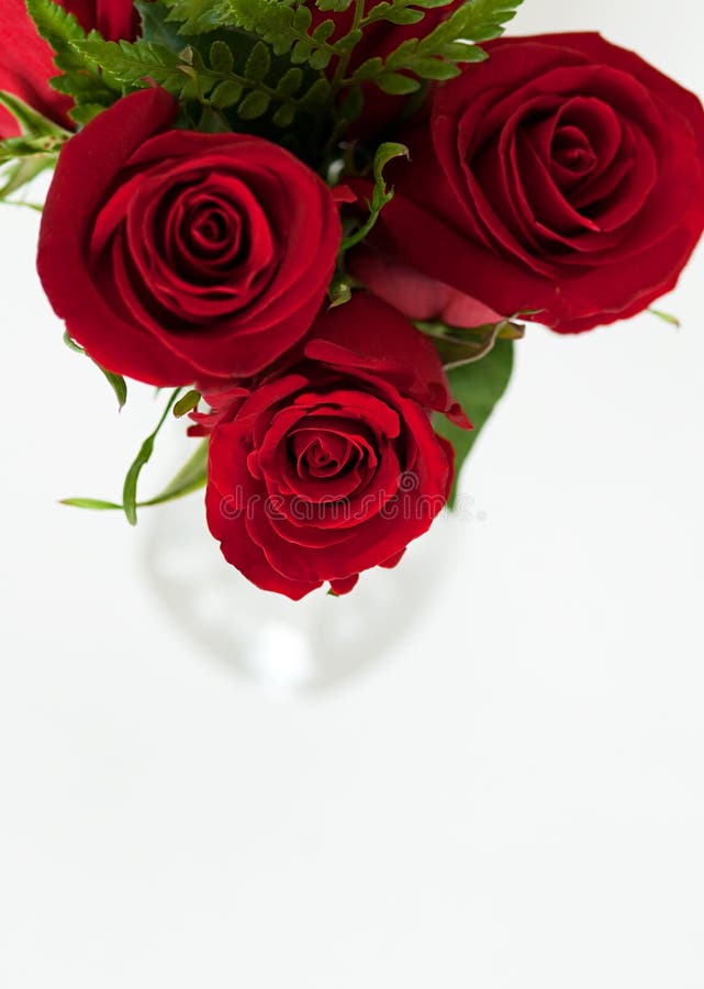 Rote Rosen von oben stockbild. Bild von liebe, unten - 20647839