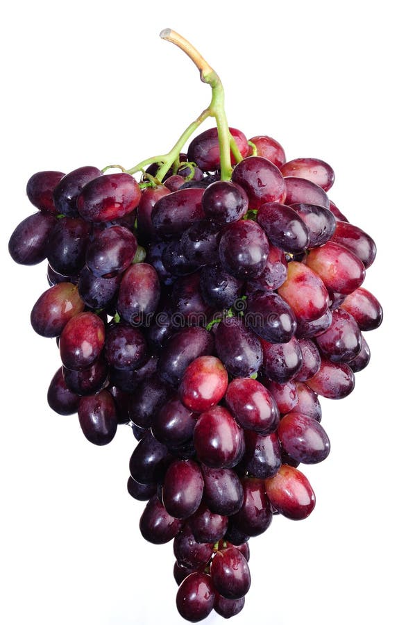 Rote Traube lokalisiert. stockfoto. Bild von frische - 33000168