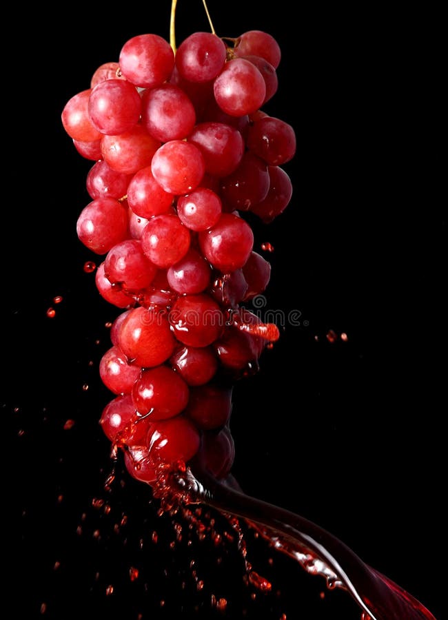 ROTE TRAUBEN-WEIN stockbild. Bild von spritzen, geschmack - 10779121