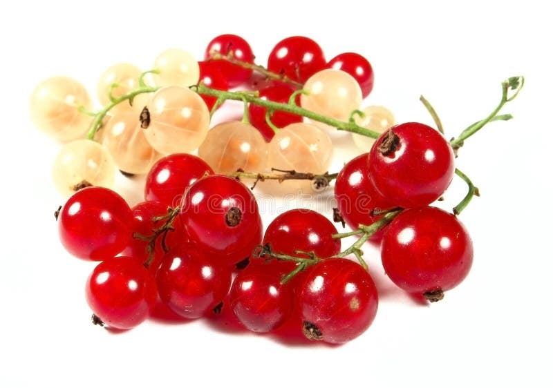 Korinthen. stockbild. Bild von vitamin, beeren, nahaufnahme - 20284739