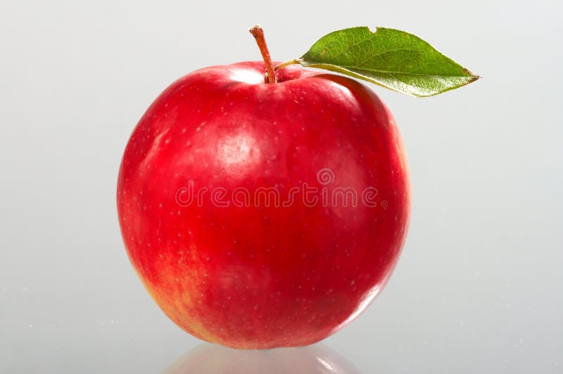 Roter Apfel stockfoto. Bild von frische, dynamisch, gesund - 7356100