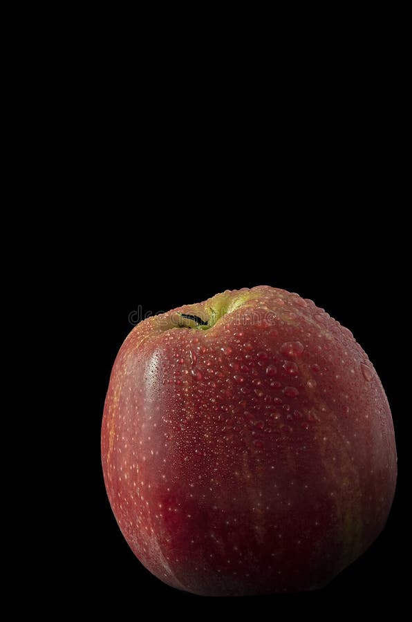 Crunchy Red Apple Against Black Background Stock Image - Image of ...