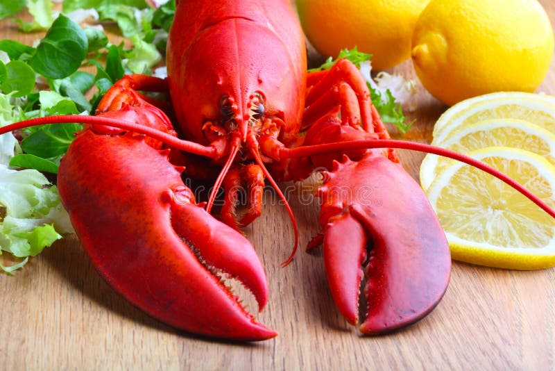 Roter Hummer auf Holz stockbild. Bild von hummer, holz - 37283241
