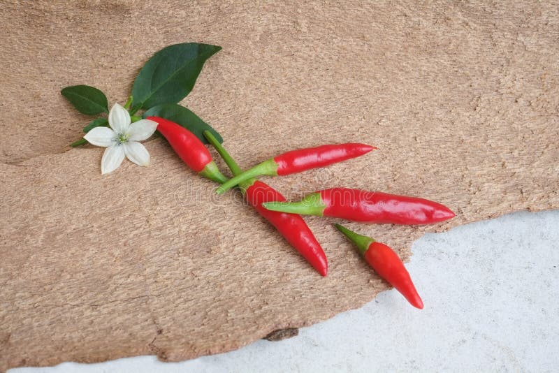 Roter Pfeffer stockbild. Bild von nahrung, gepfeffert - 59091073