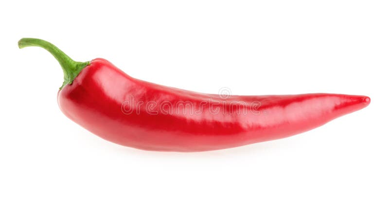 Roter Pfeffer, getrennt stockfoto. Bild von orange, organisch - 12242314