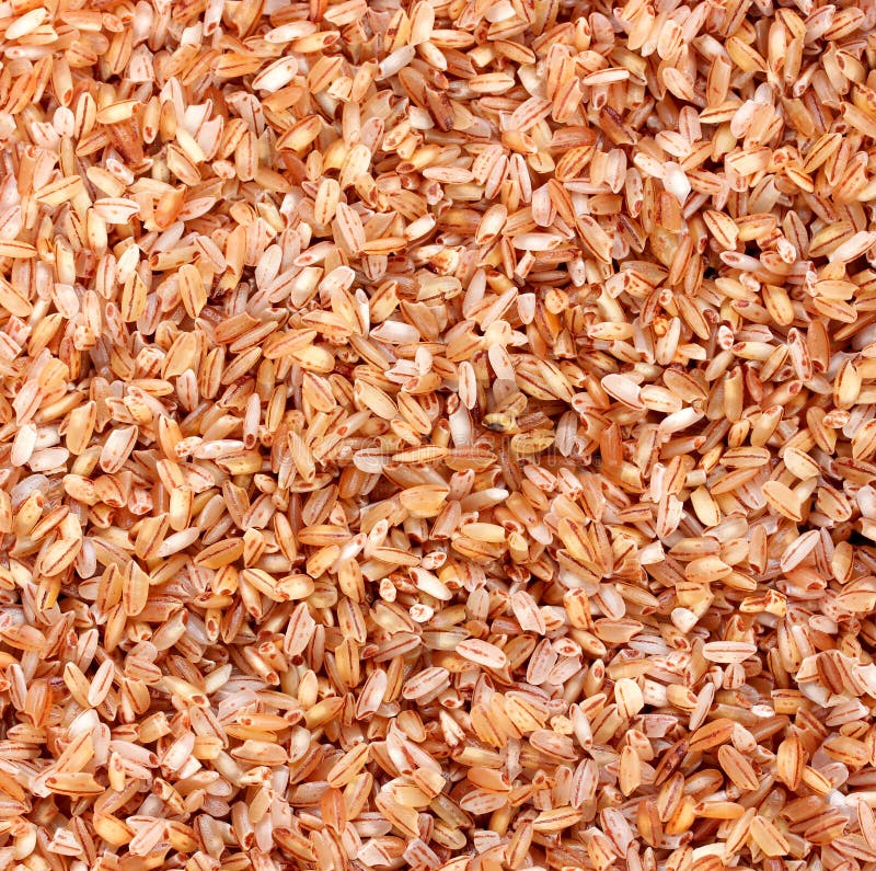 Reis devzira stockfoto. Bild von striegeln, gesund, rezept - 72441458