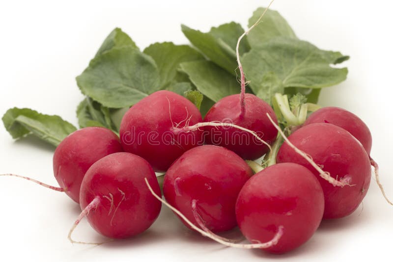 Roter Rettich stockbild. Bild von nähren, saisonal, kochen - 51983771