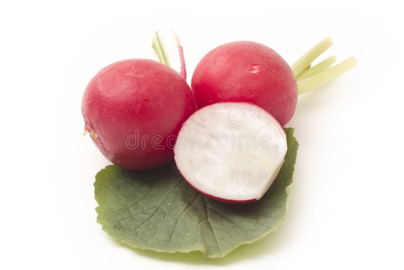 Roter Rettich stockbild. Bild von nähren, saisonal, kochen - 51983771